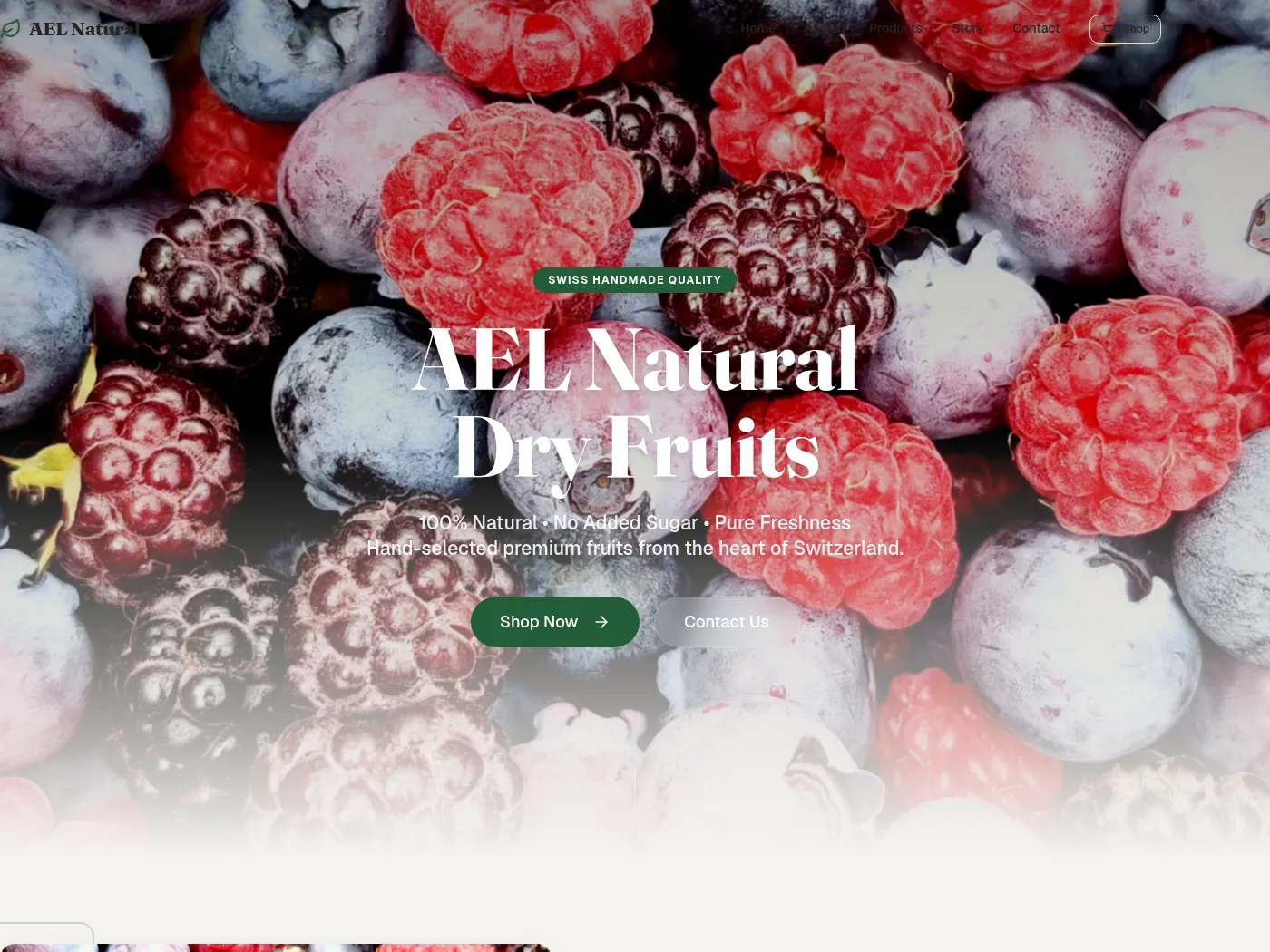 AEL Dry Fruits Website