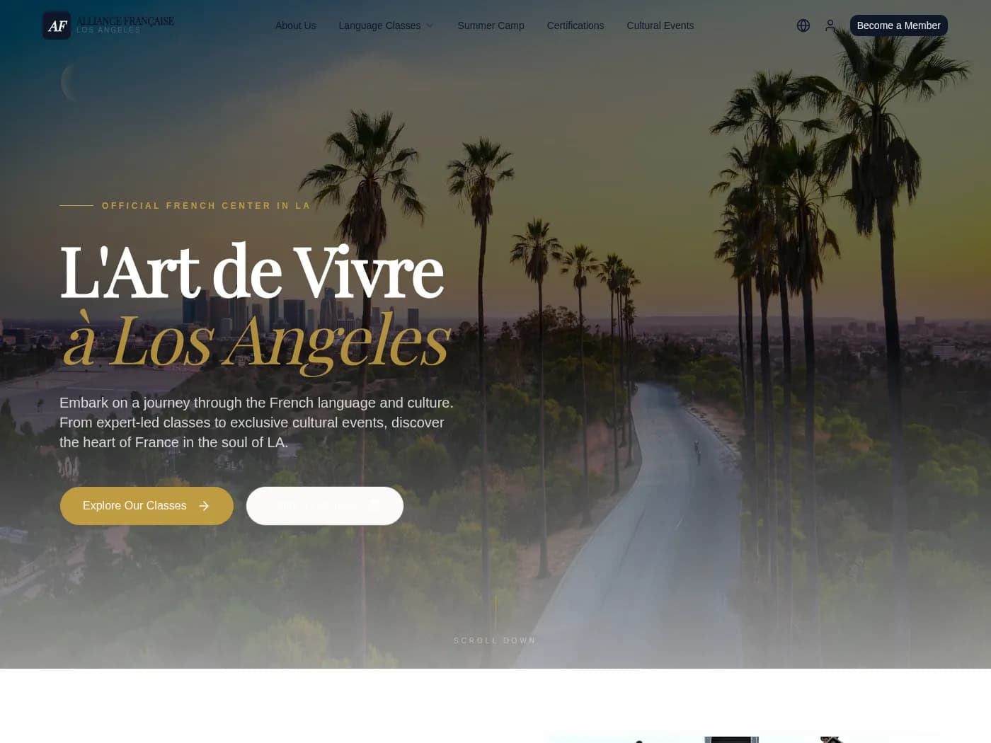 AFDELA Modern Website