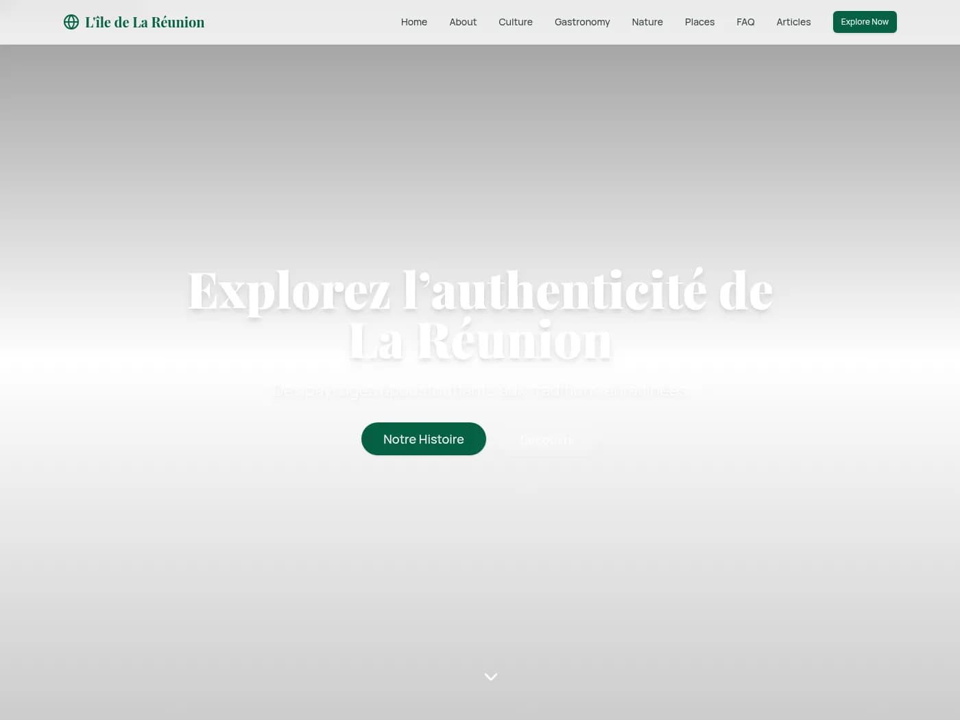 Elegant Agency Website