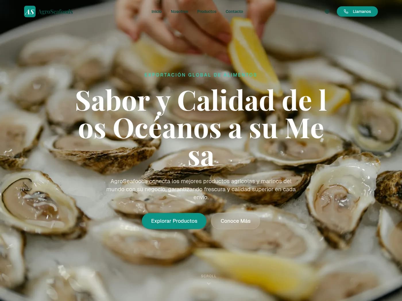 AgroSeafoods Web Refresh