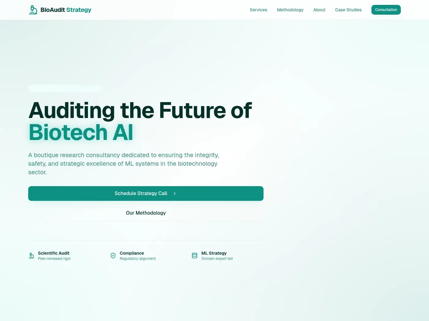 AI Audit Consulting Landing