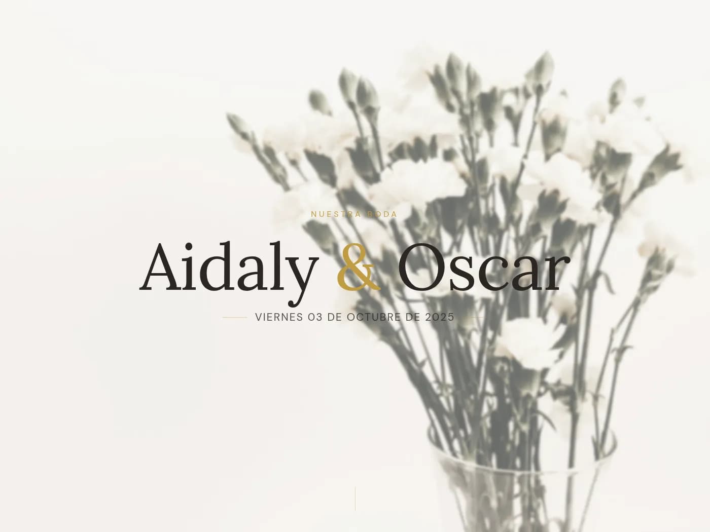 Aidalyy Oscar Web Clone