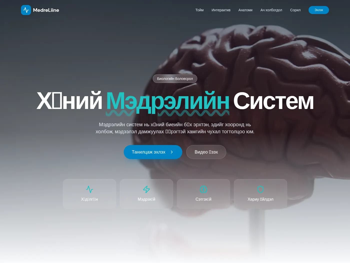 Enhanced Anatomy Trigger Page