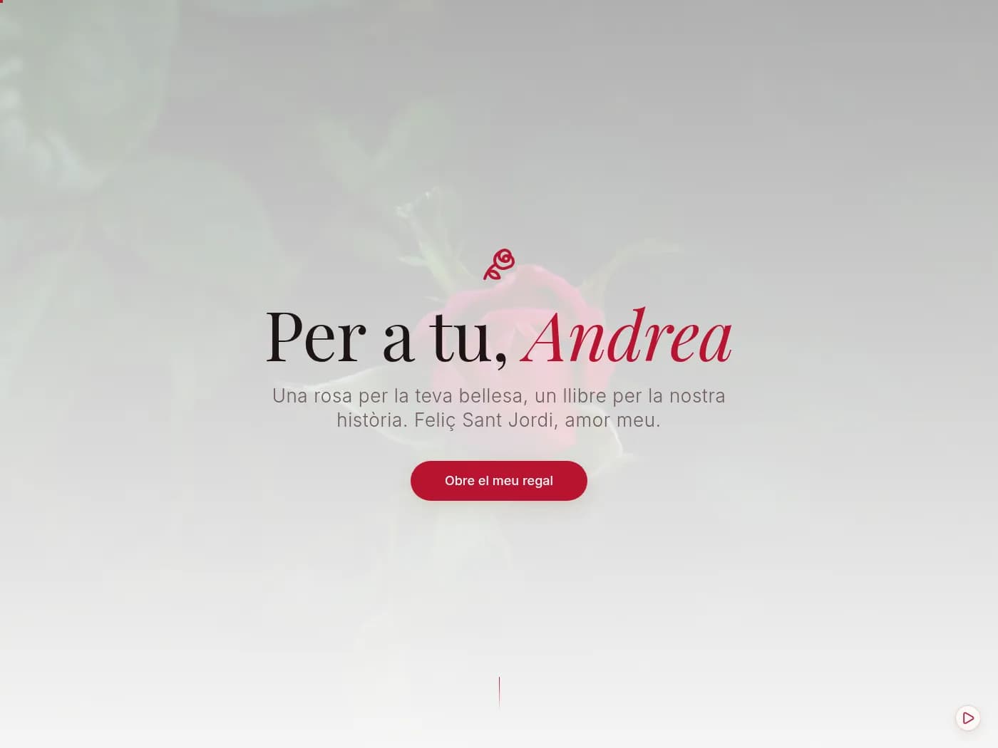 Andrea Sant Jordi Gift