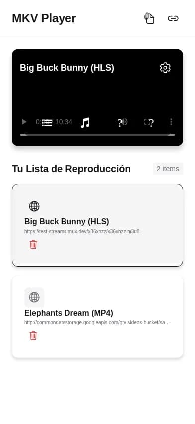 MKV Video Player App