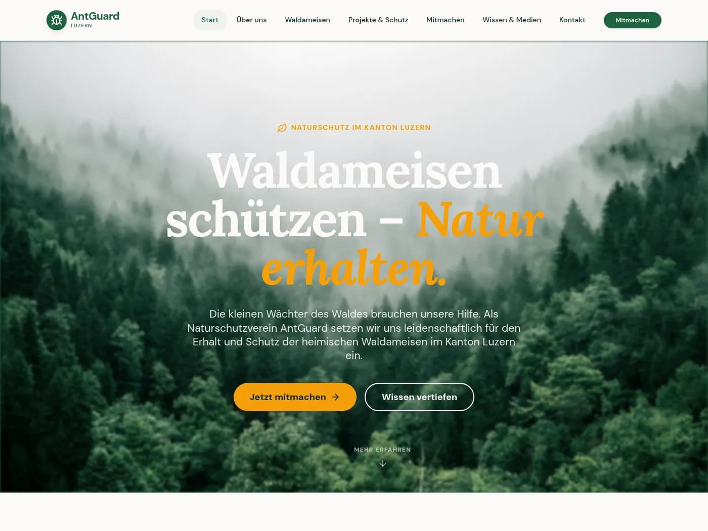 AntGuard Luzern Website
