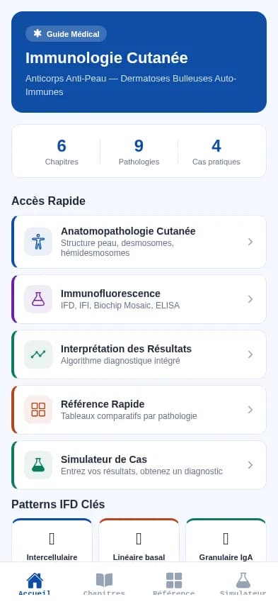 Modèle APK Générateur