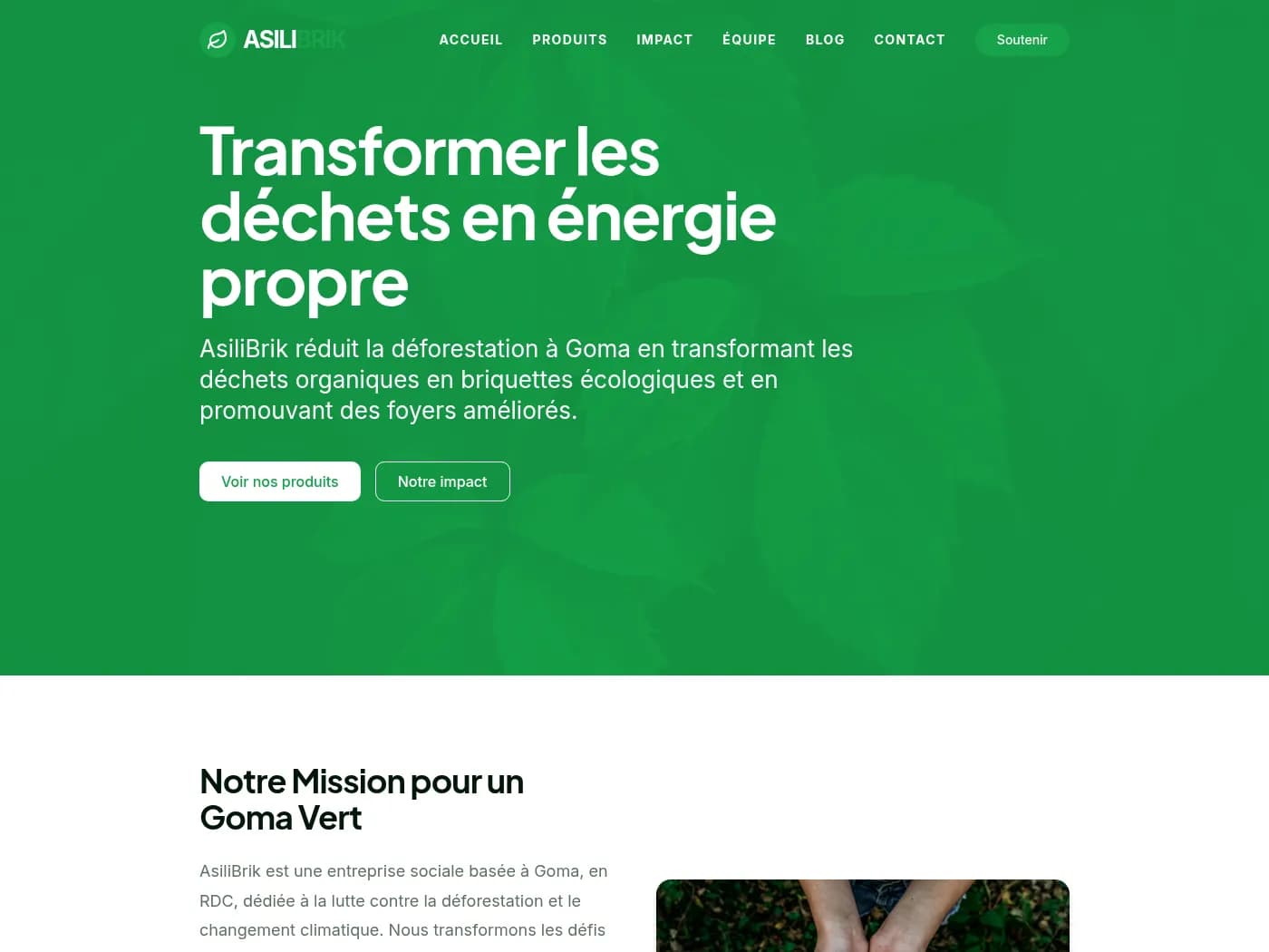 AsiliBrik Impact Website
