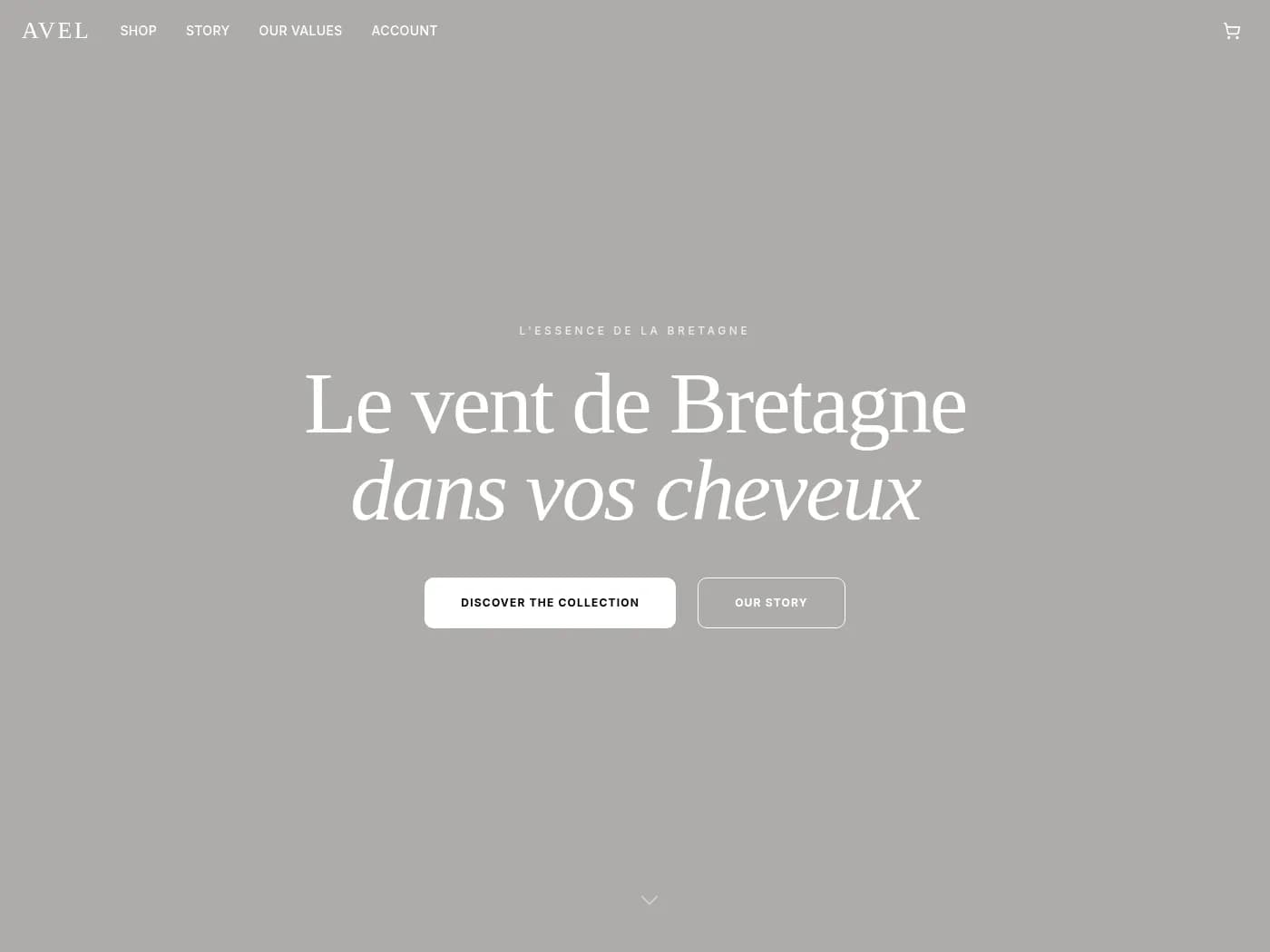 AVEL E-Commerce Experience