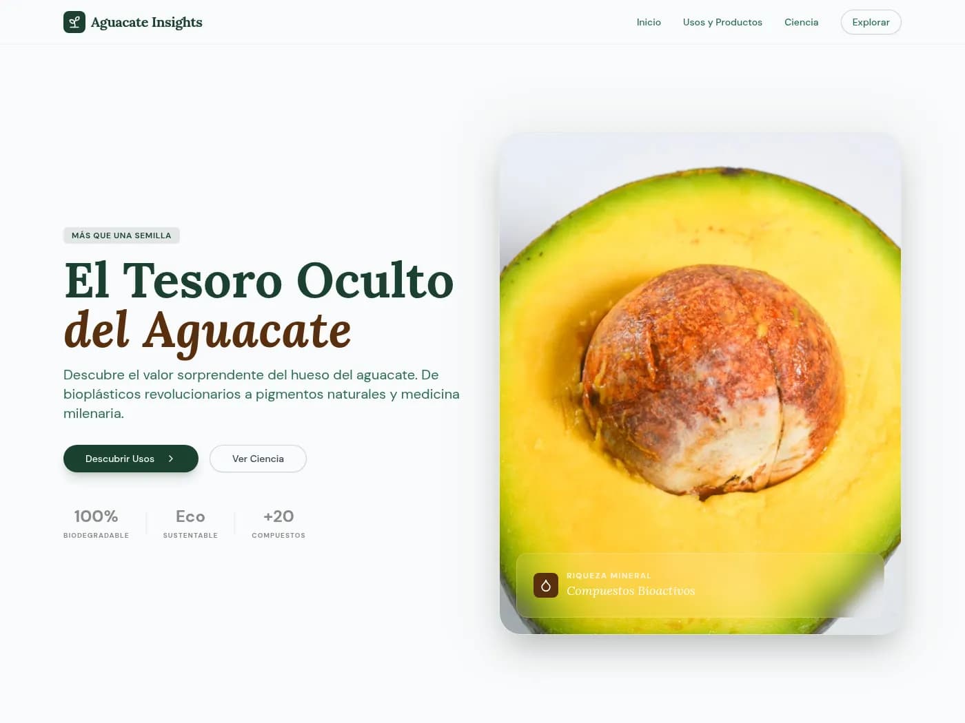Aguacate Insights