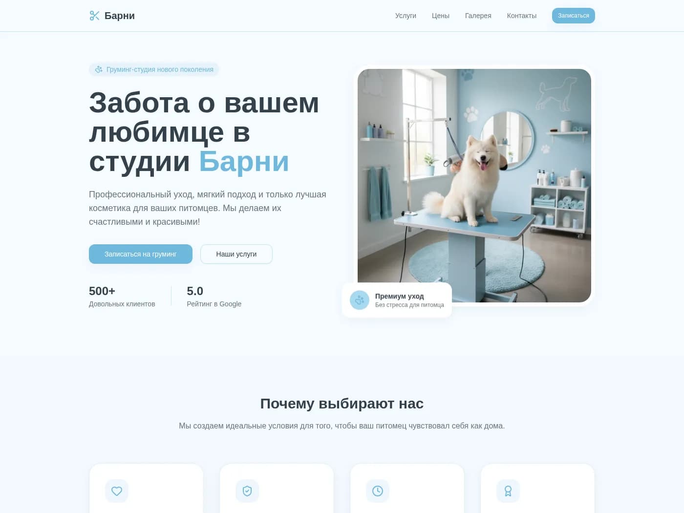 Barni Grooming Landing