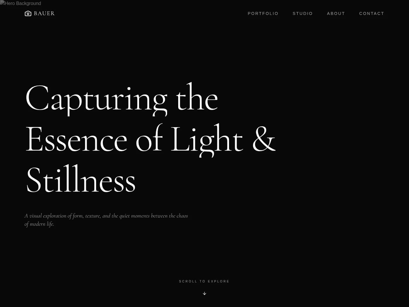 Bauer Visual Portfolio