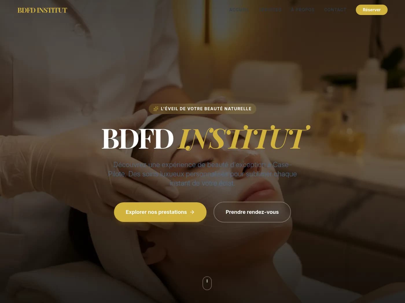 BDFD Institut Web Showcase