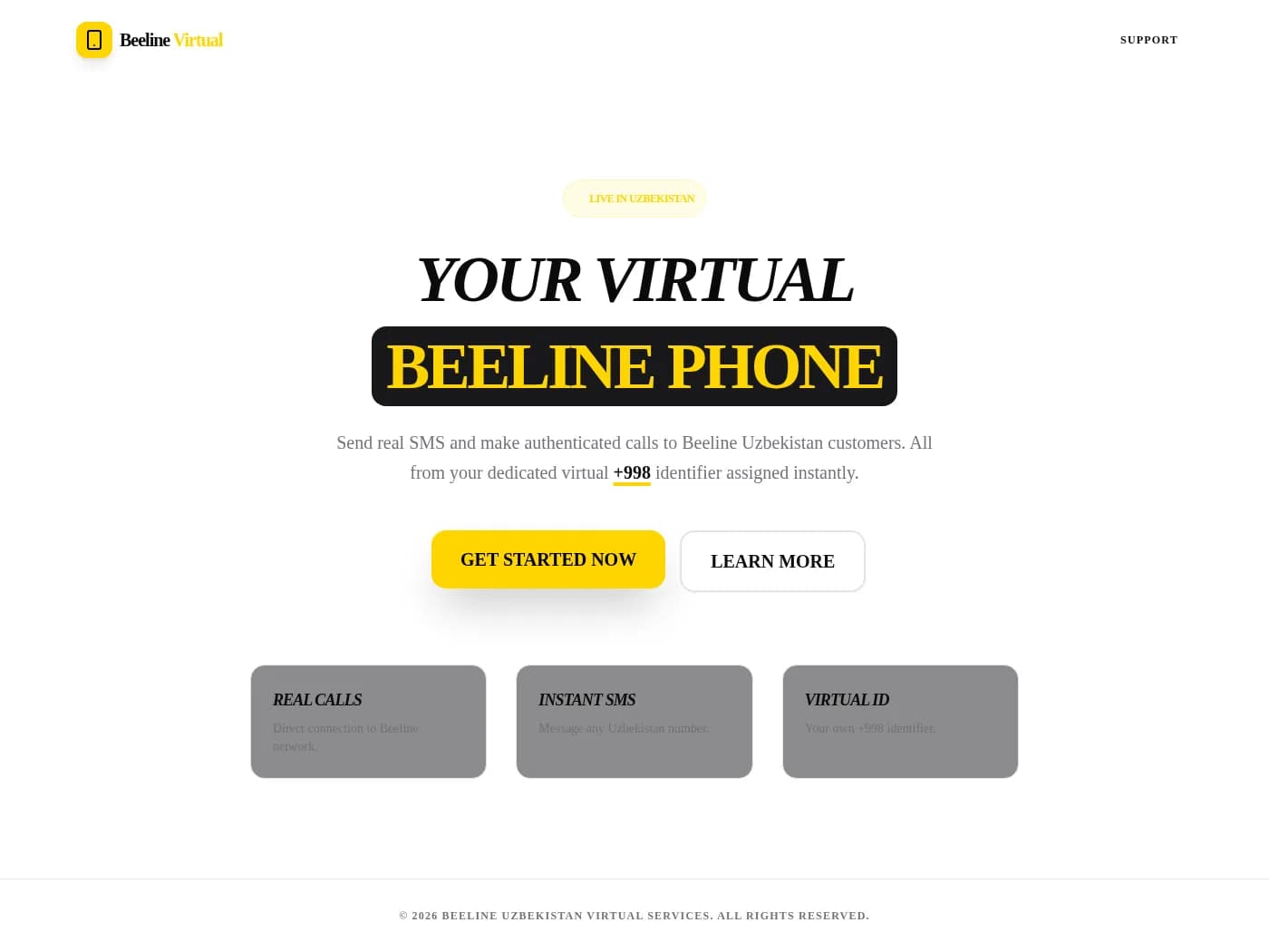 Beeline Virtual Phone