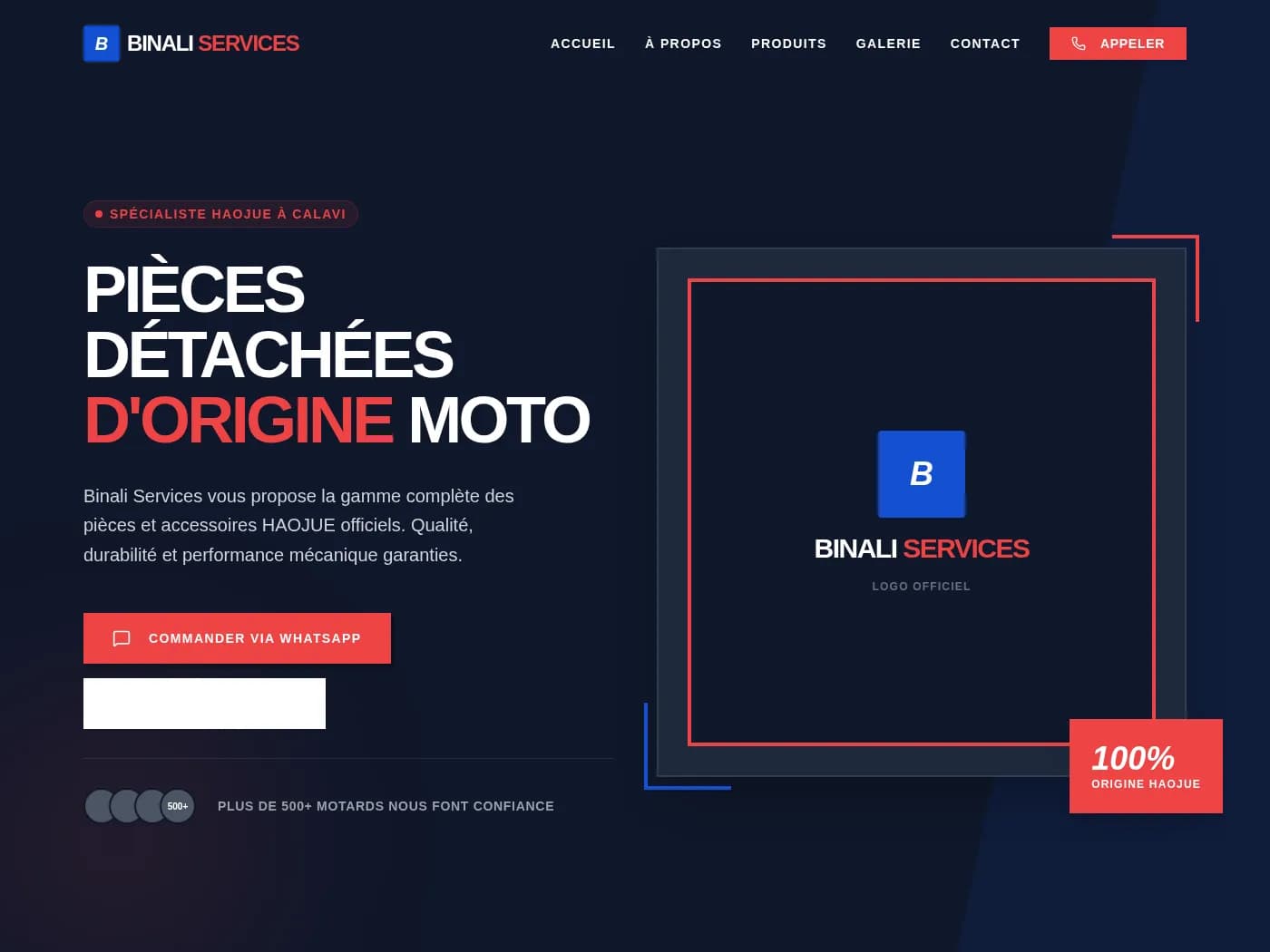 Binali Services Moto Site