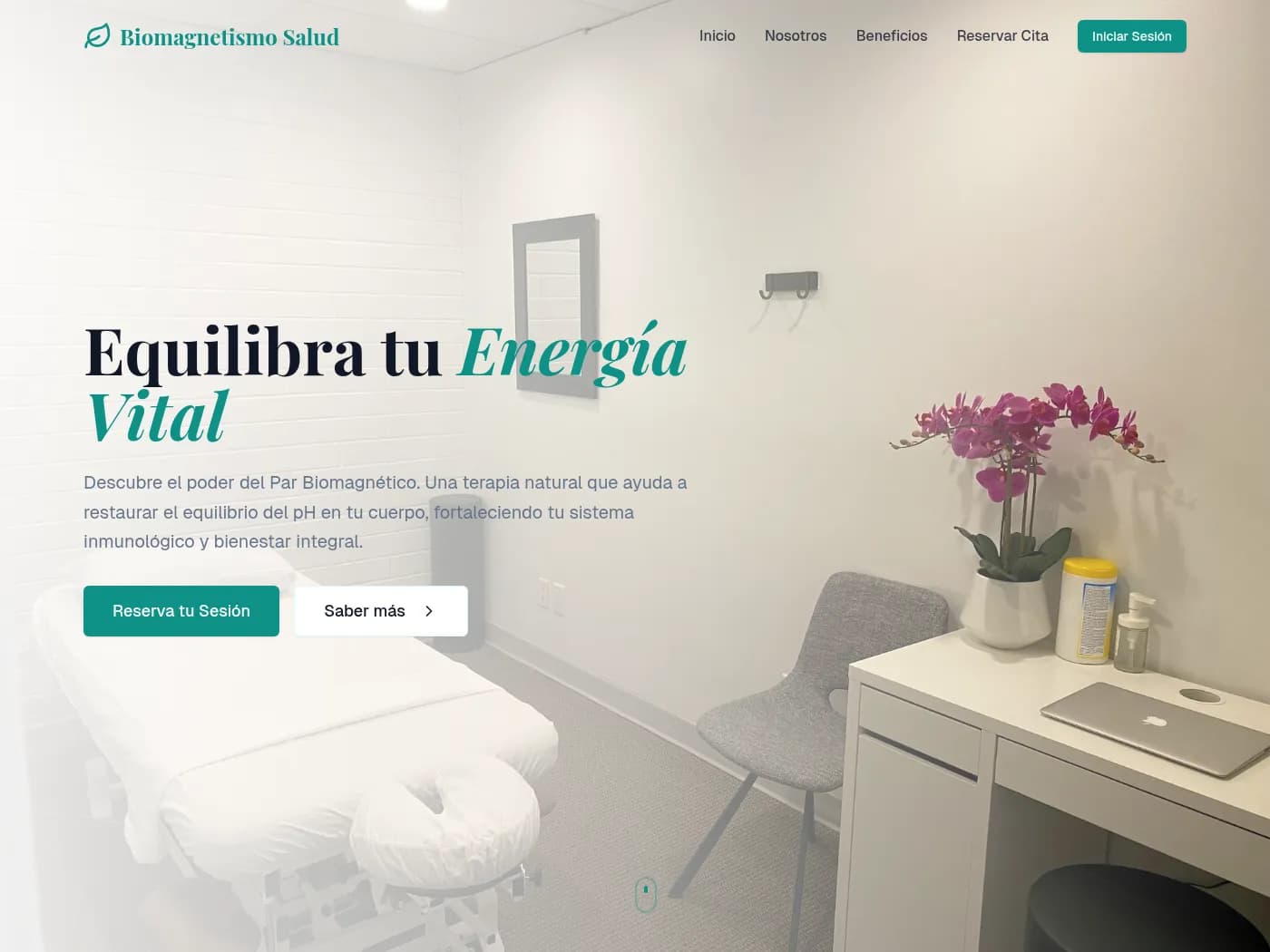 Par Biomagnético Web