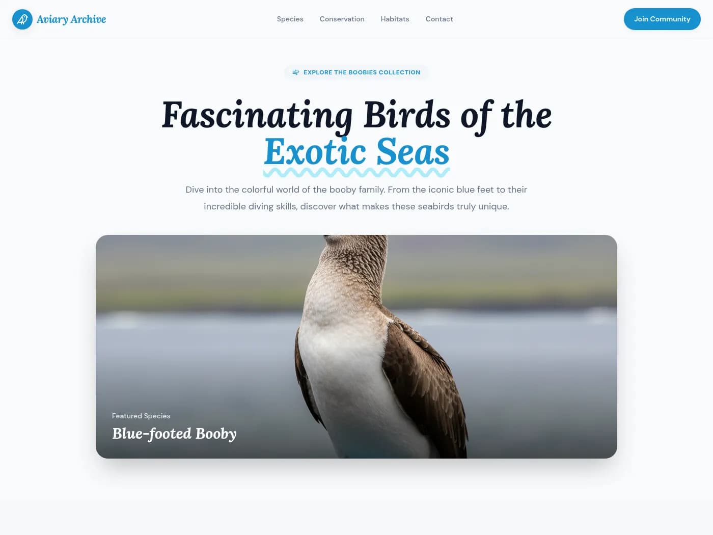 Bird Species Gallery