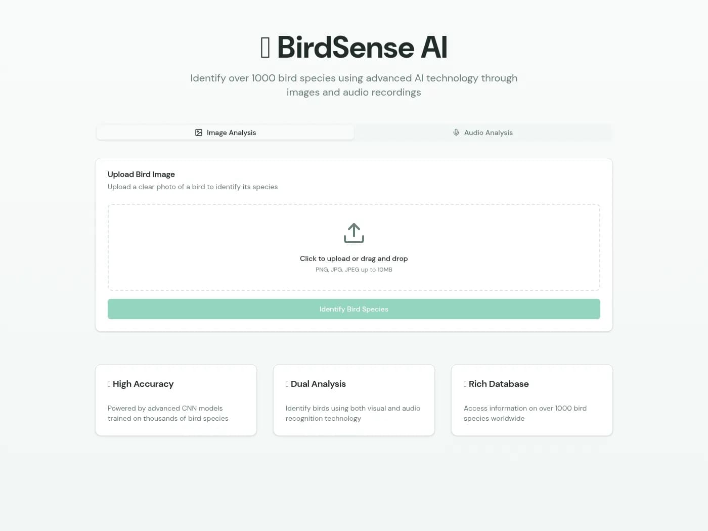 BirdSense Identifier