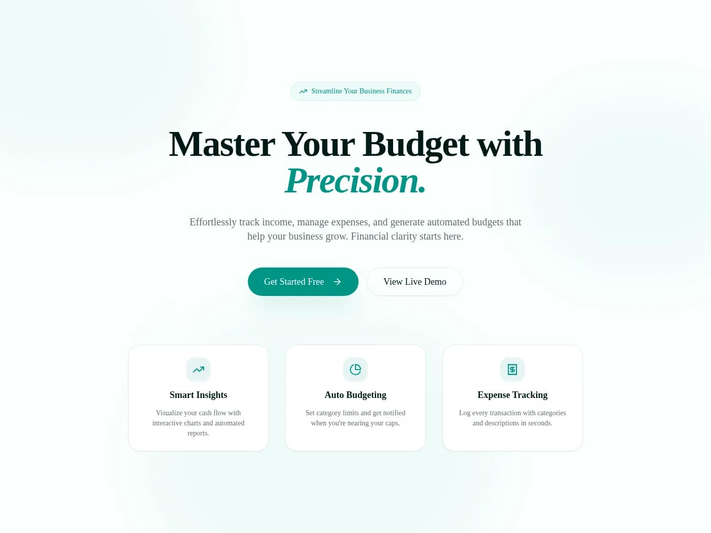BizBudget Tracker
