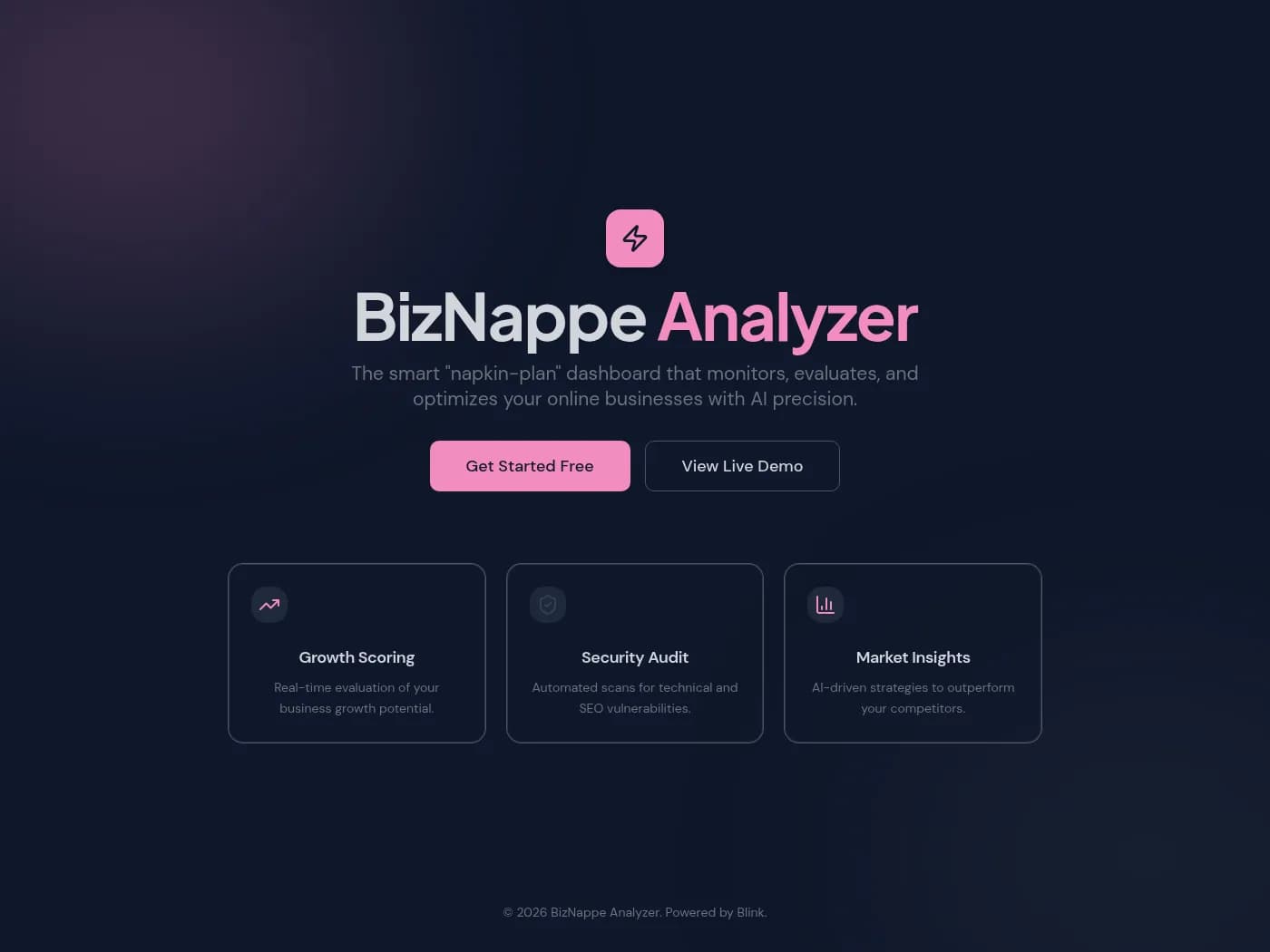 BizNappe Analyzer