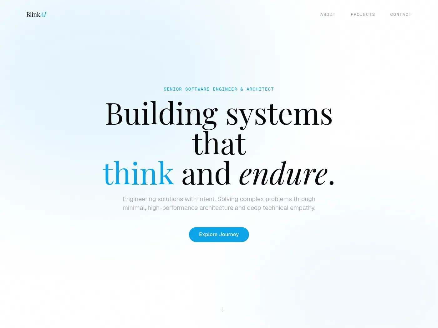 Blink AI Portfolio