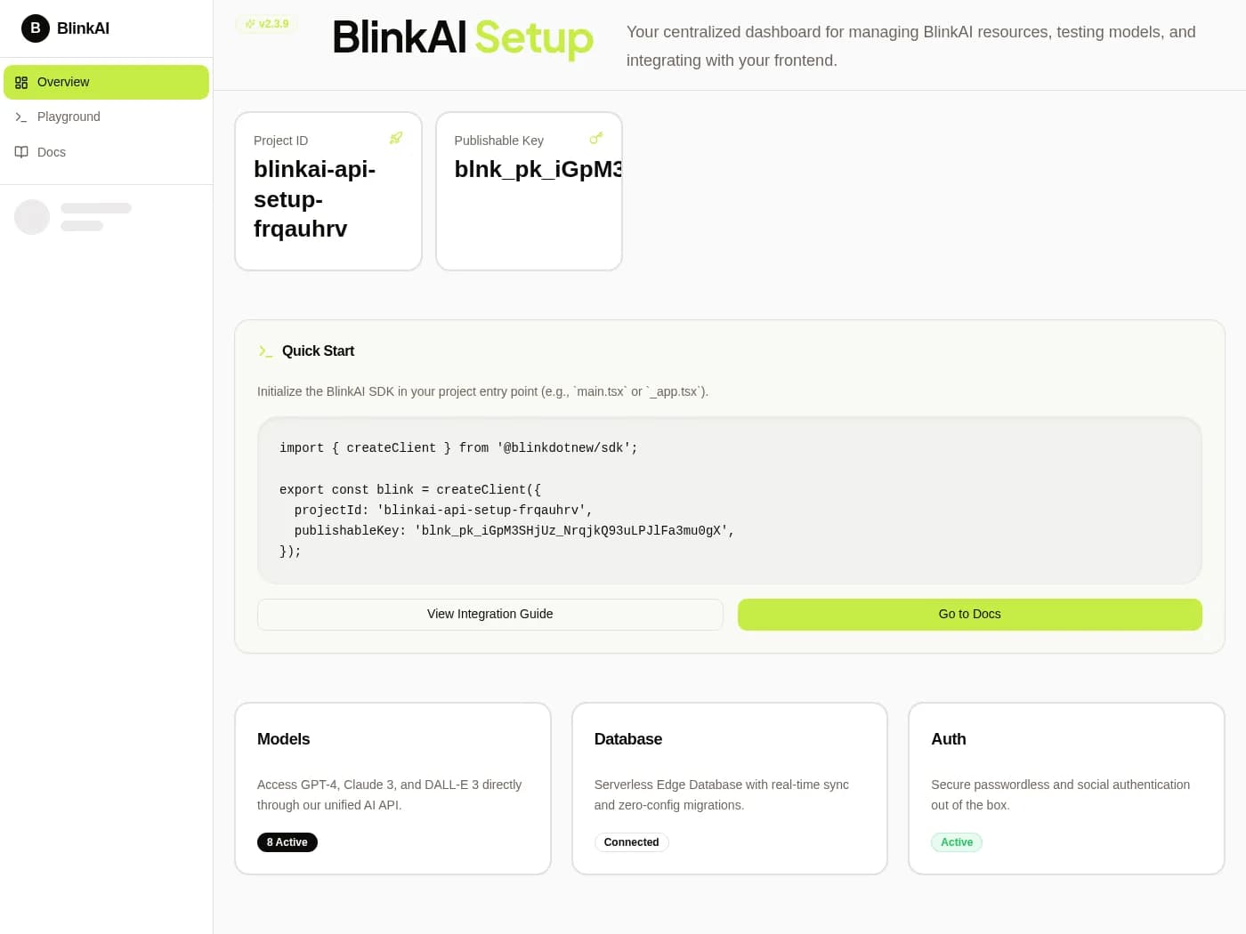 BlinkAI API Setup