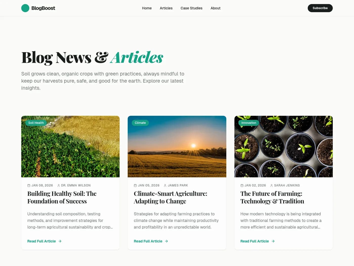 BlogBoost Redesign