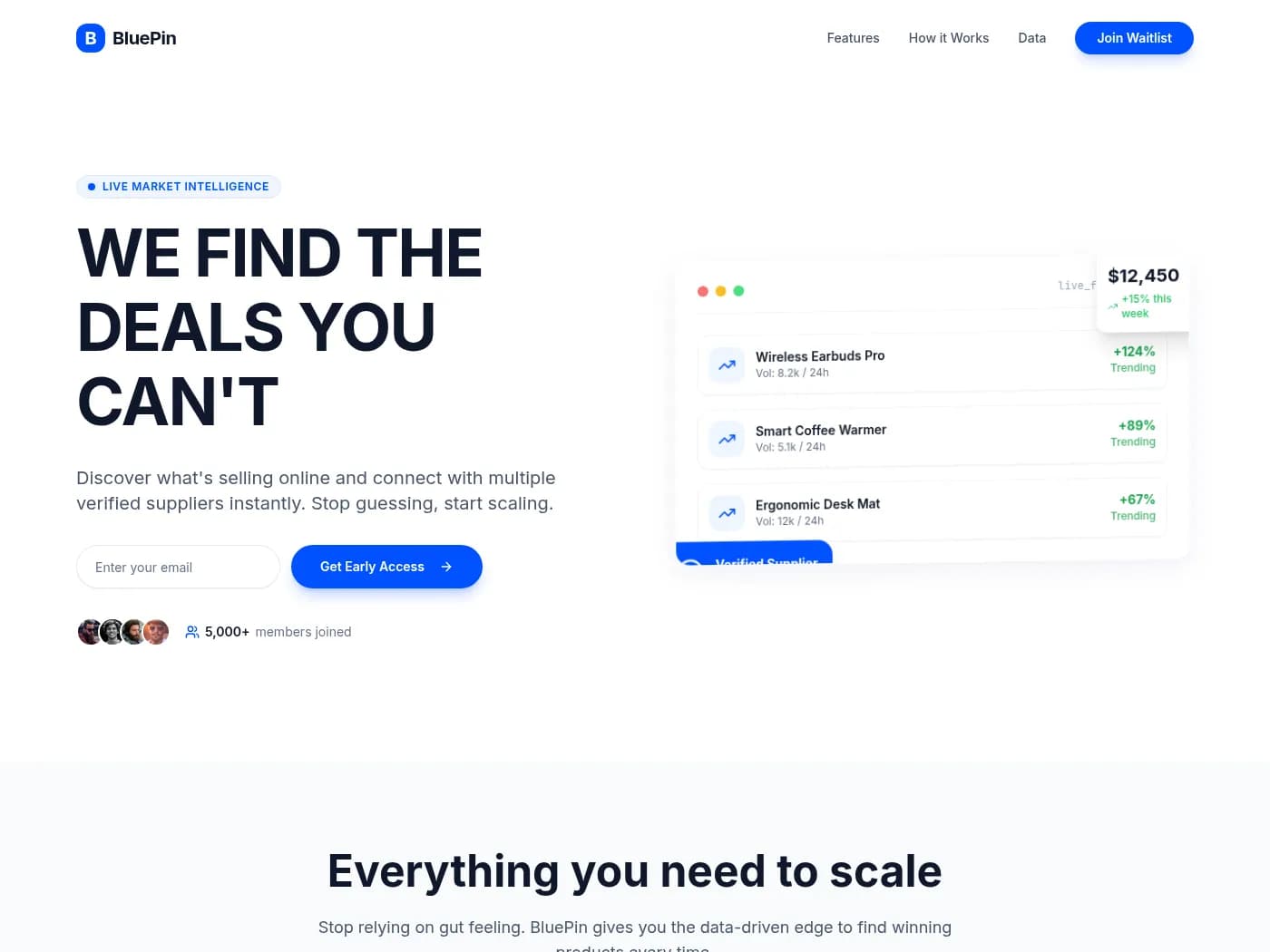 BluePin SaaS Landing Page