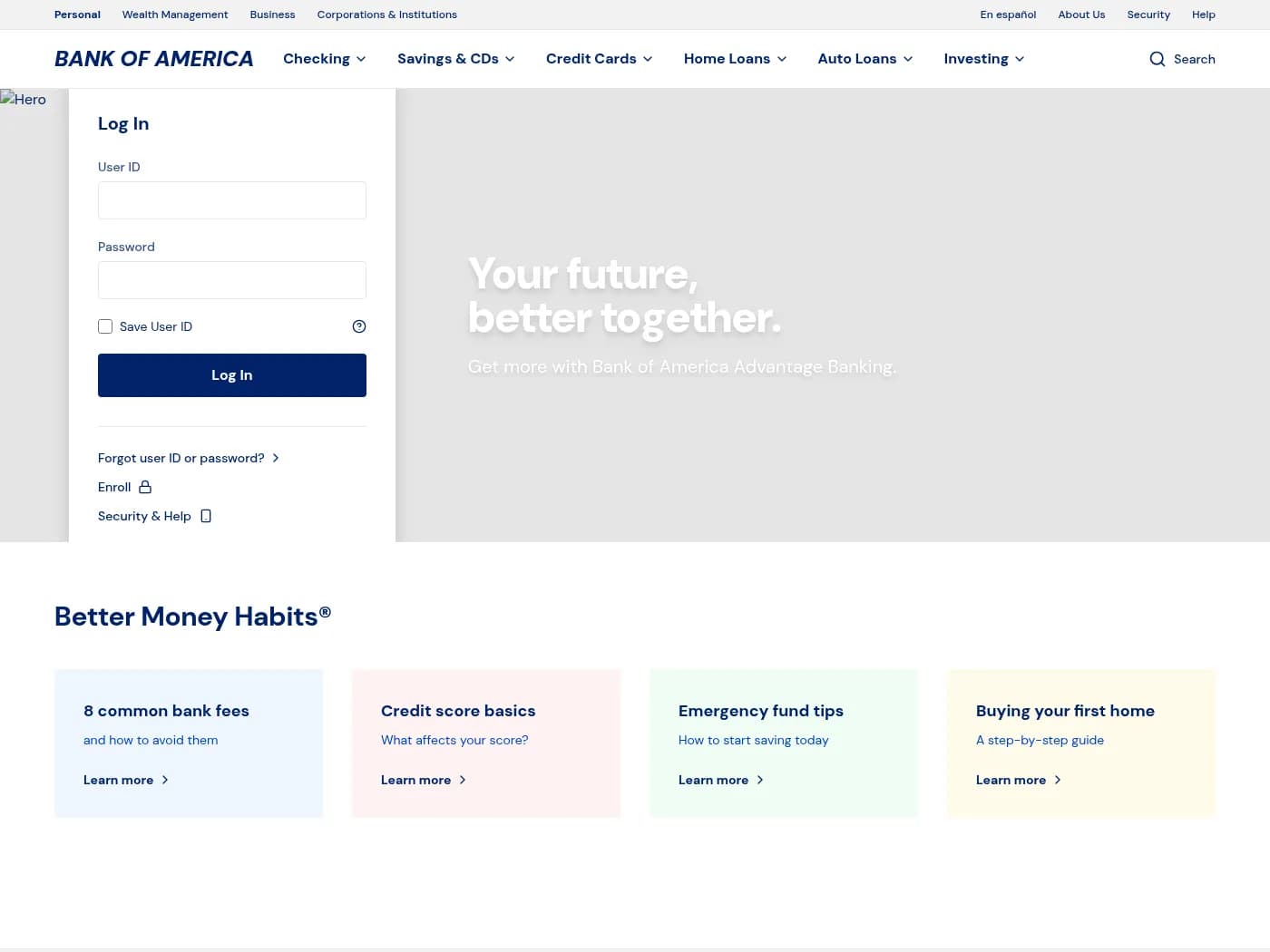 Bank of America Clone