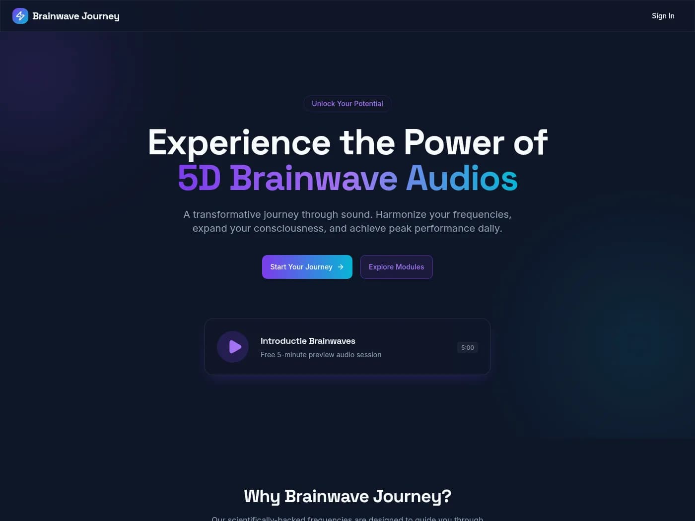 Brainwave Journey Platform