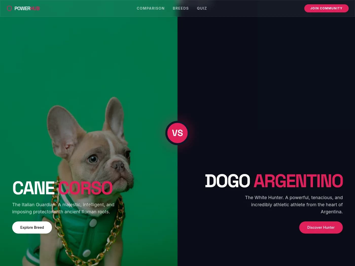 Cane Corso vs Dogo Hub