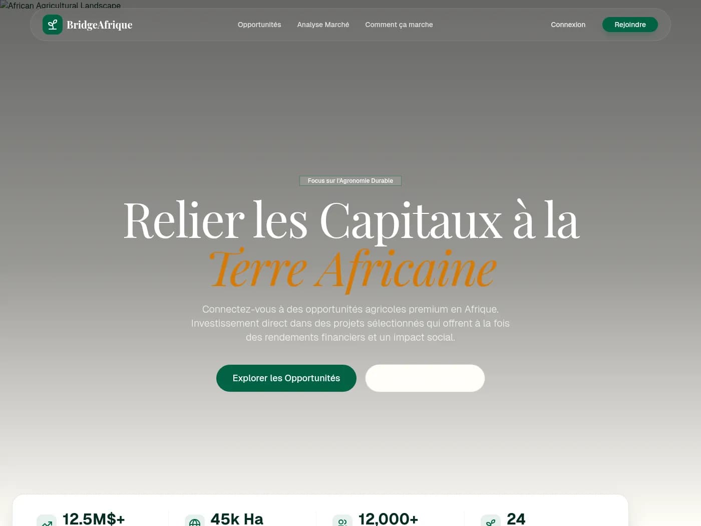 BridgeAfrique Connect