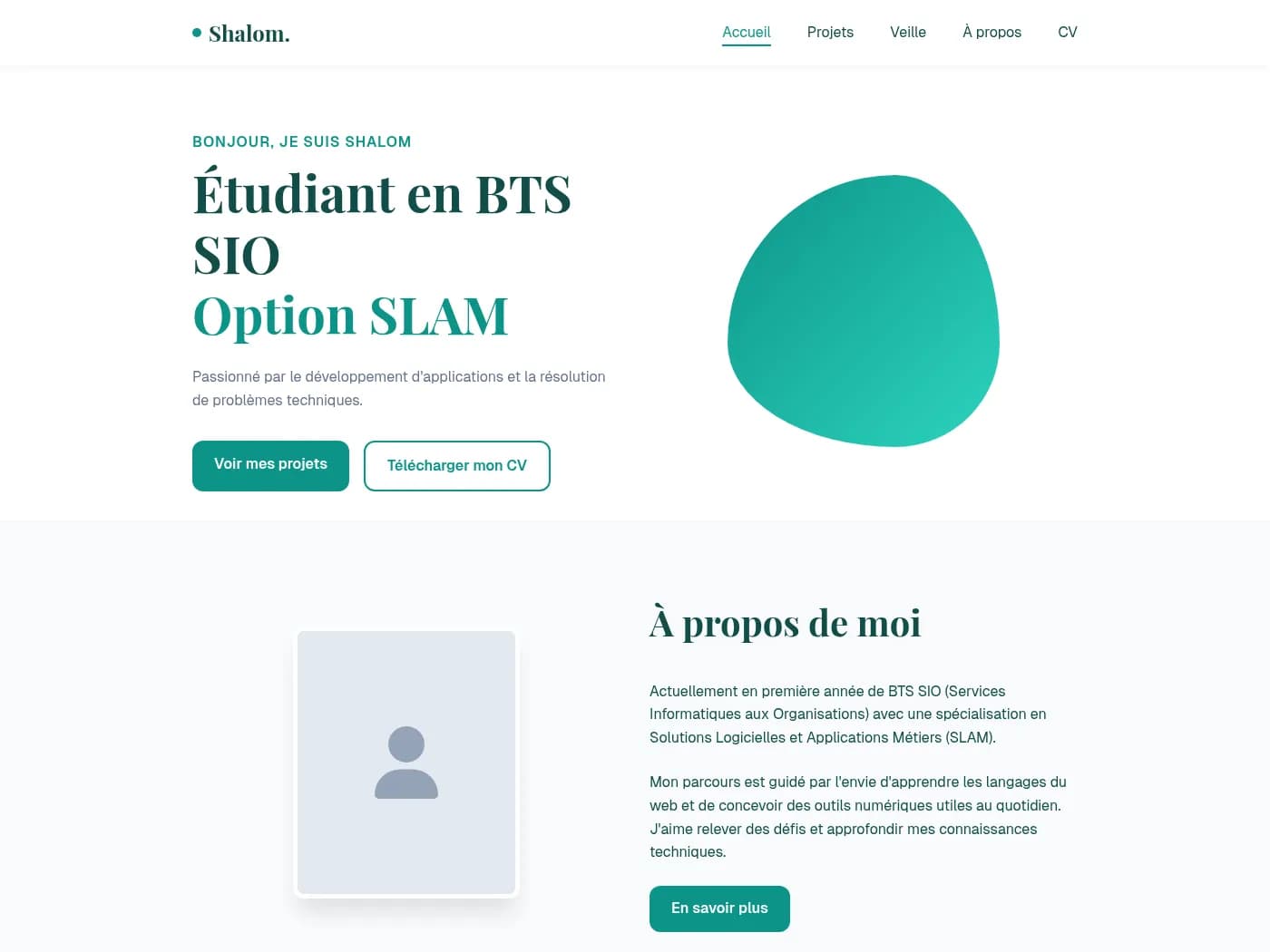 Shalom Portfolio Starter