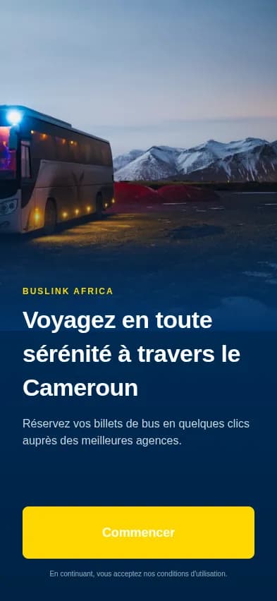 BusLink Africa