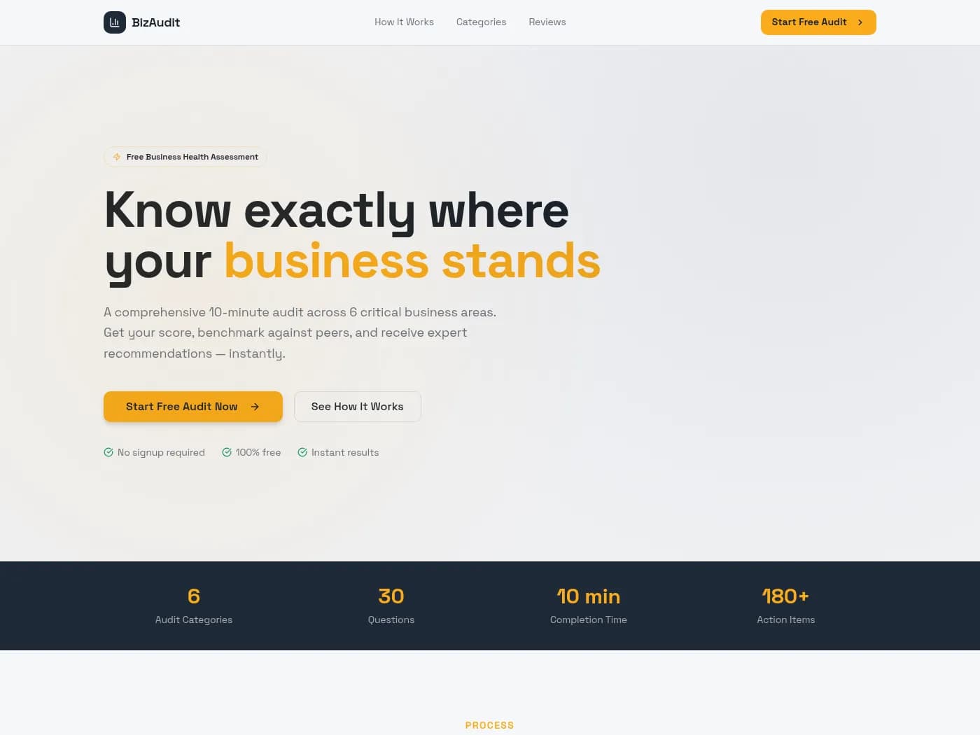 BizAudit Portal
