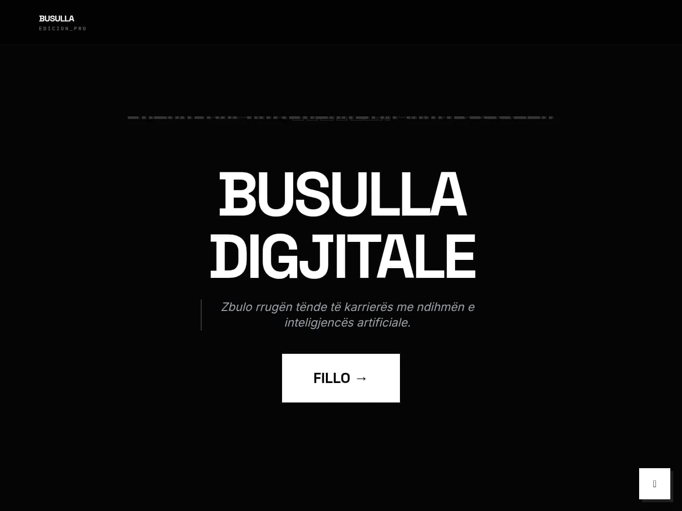 Busulla Career Guide