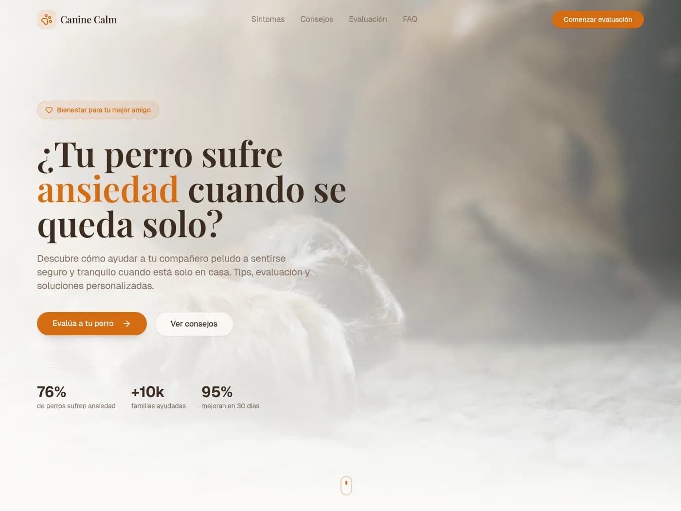 Canine Calm Home