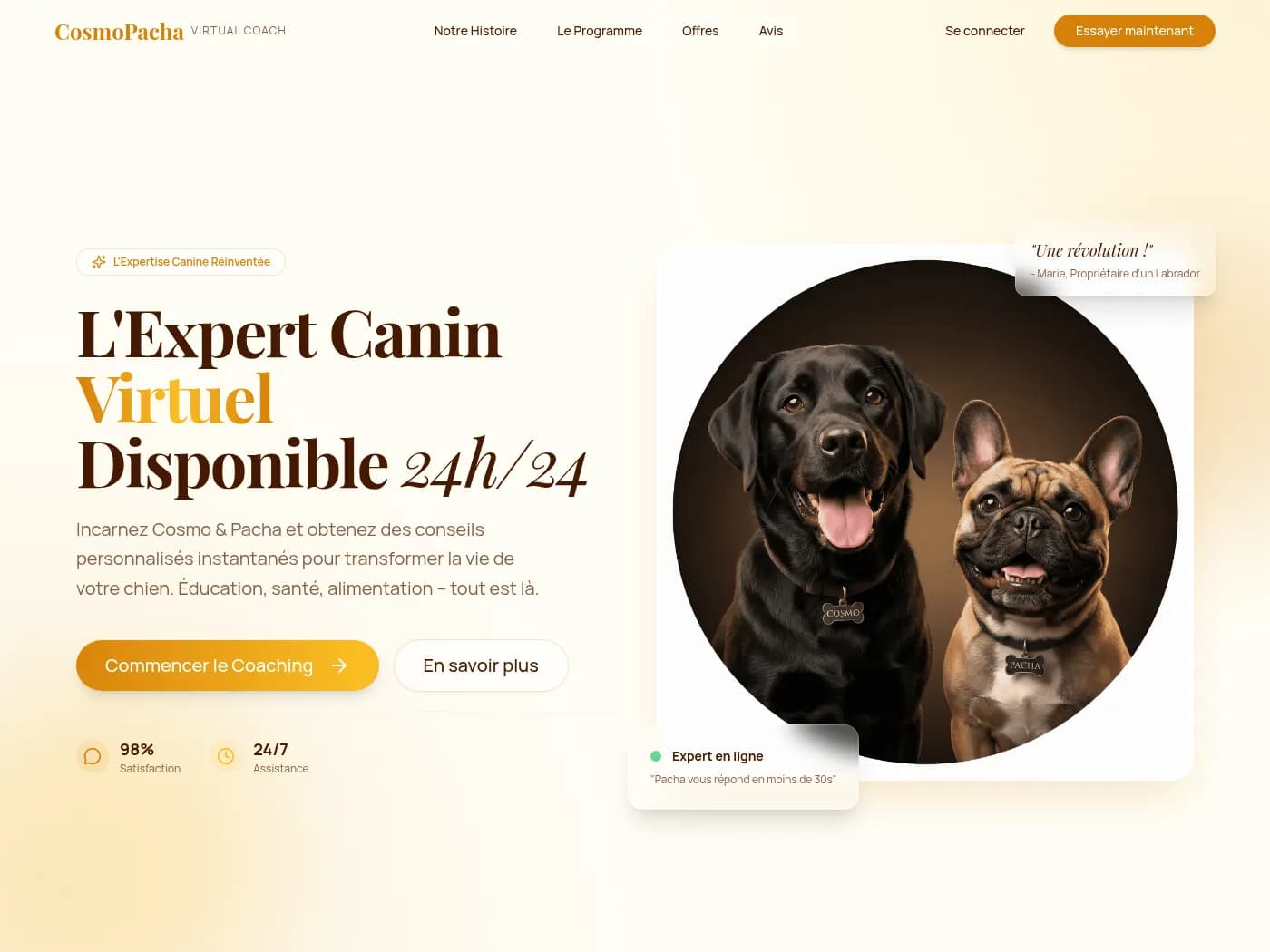 CosmoPacha Virtual Coach