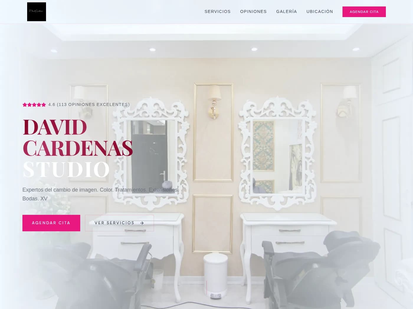 David Cardenas Studio Web