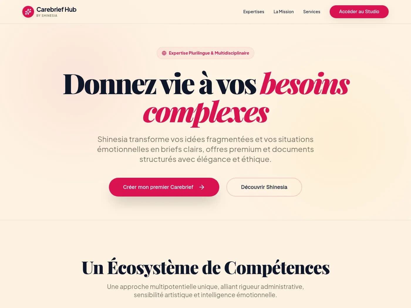 Shinesia's Carebrief Hub