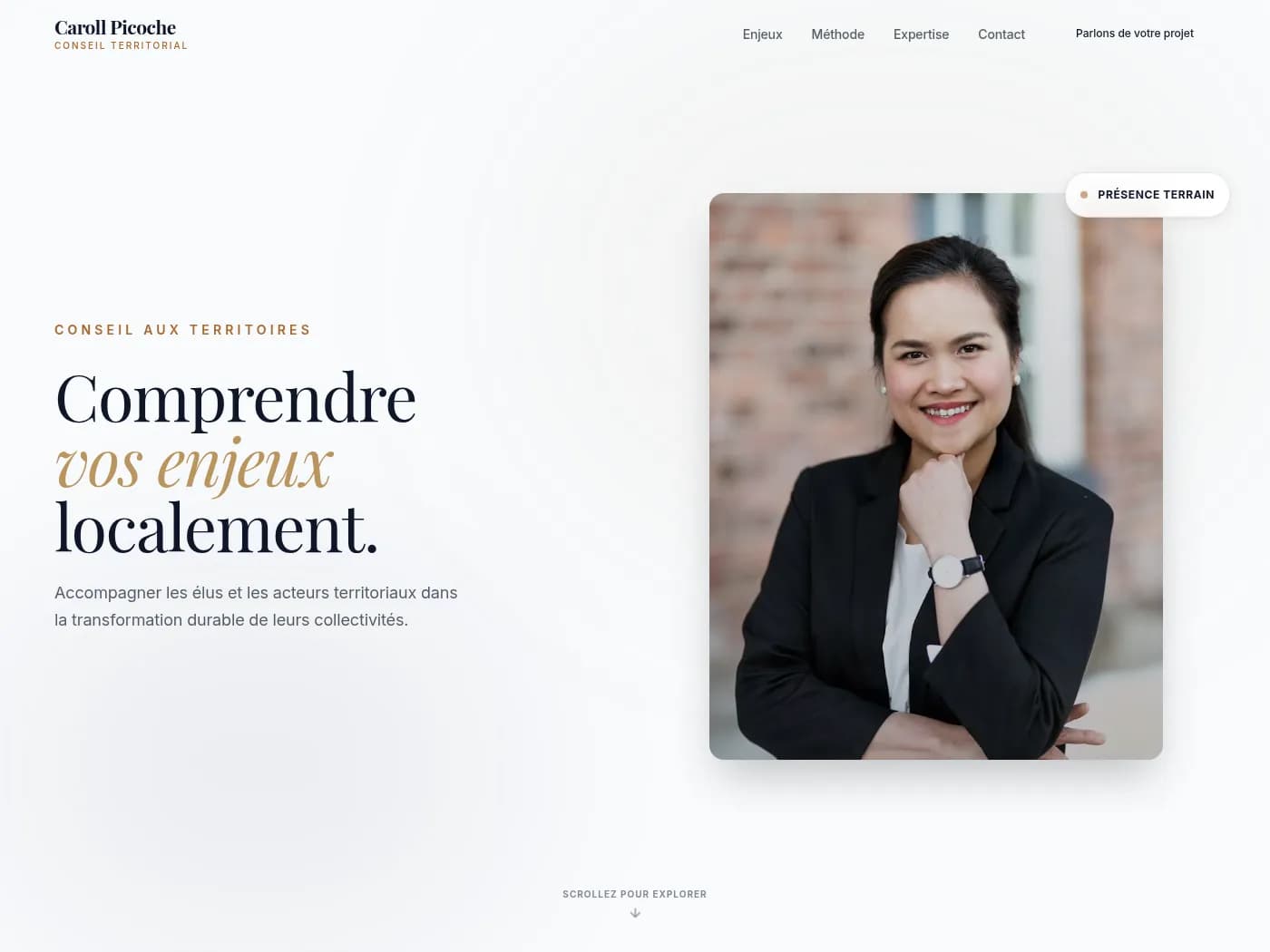 Caroll Picoche Conseil Site