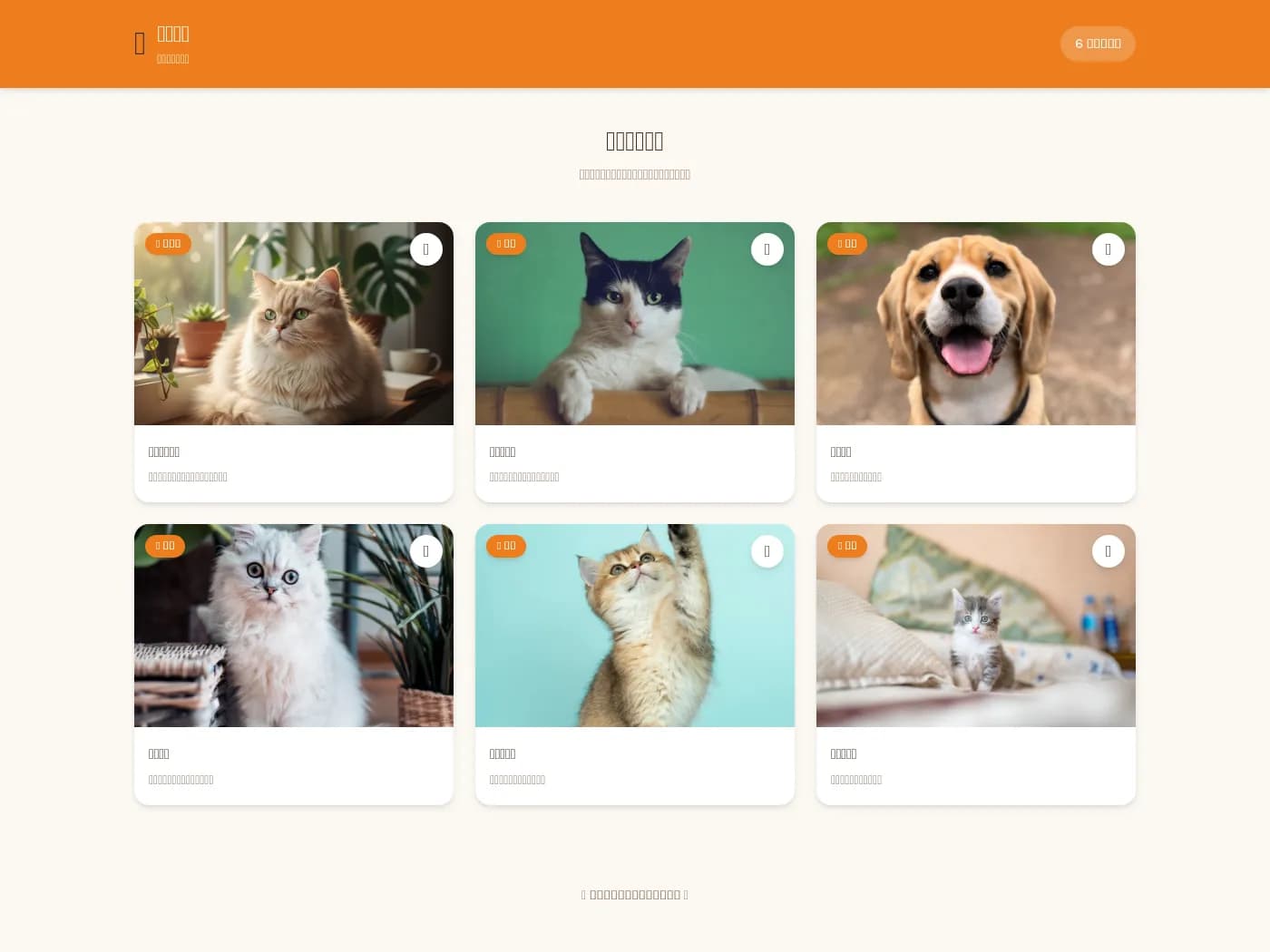 Cat Gallery