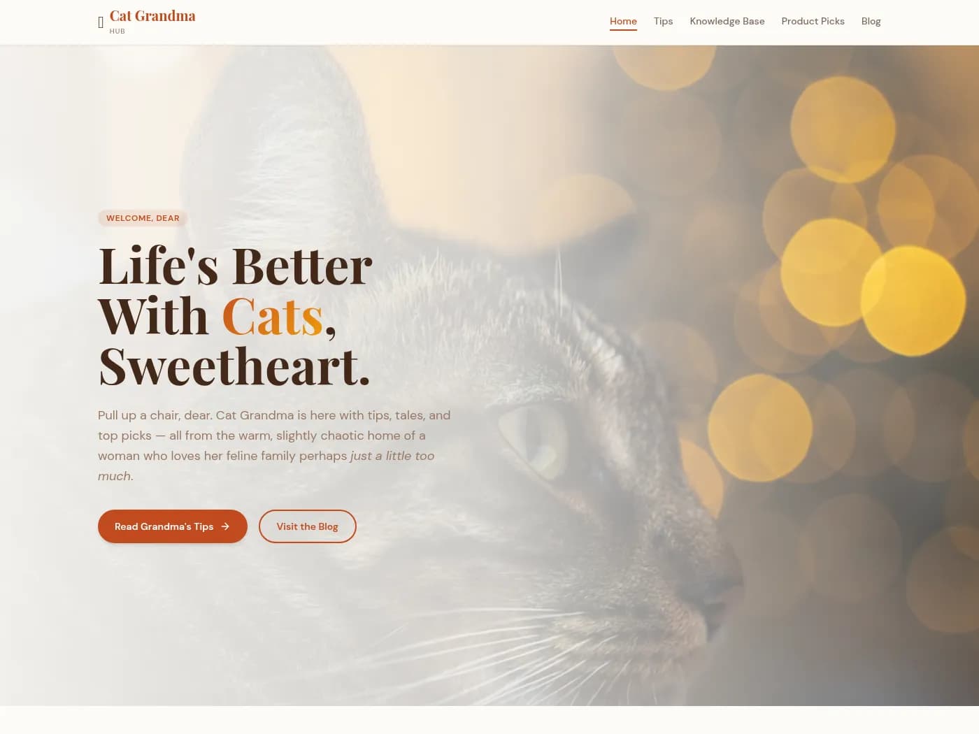 Cat Grandma Hub
