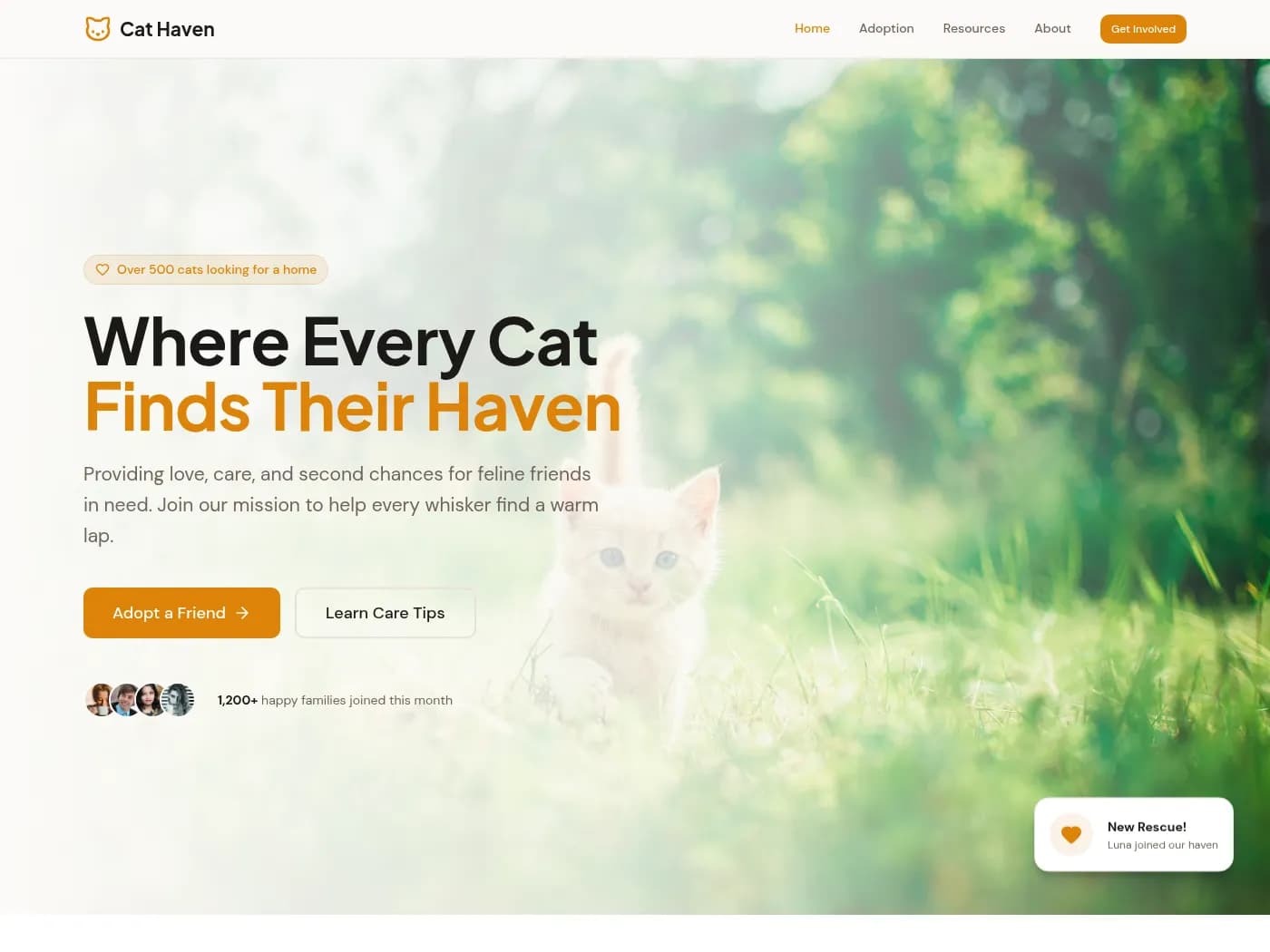 Cat Haven Website