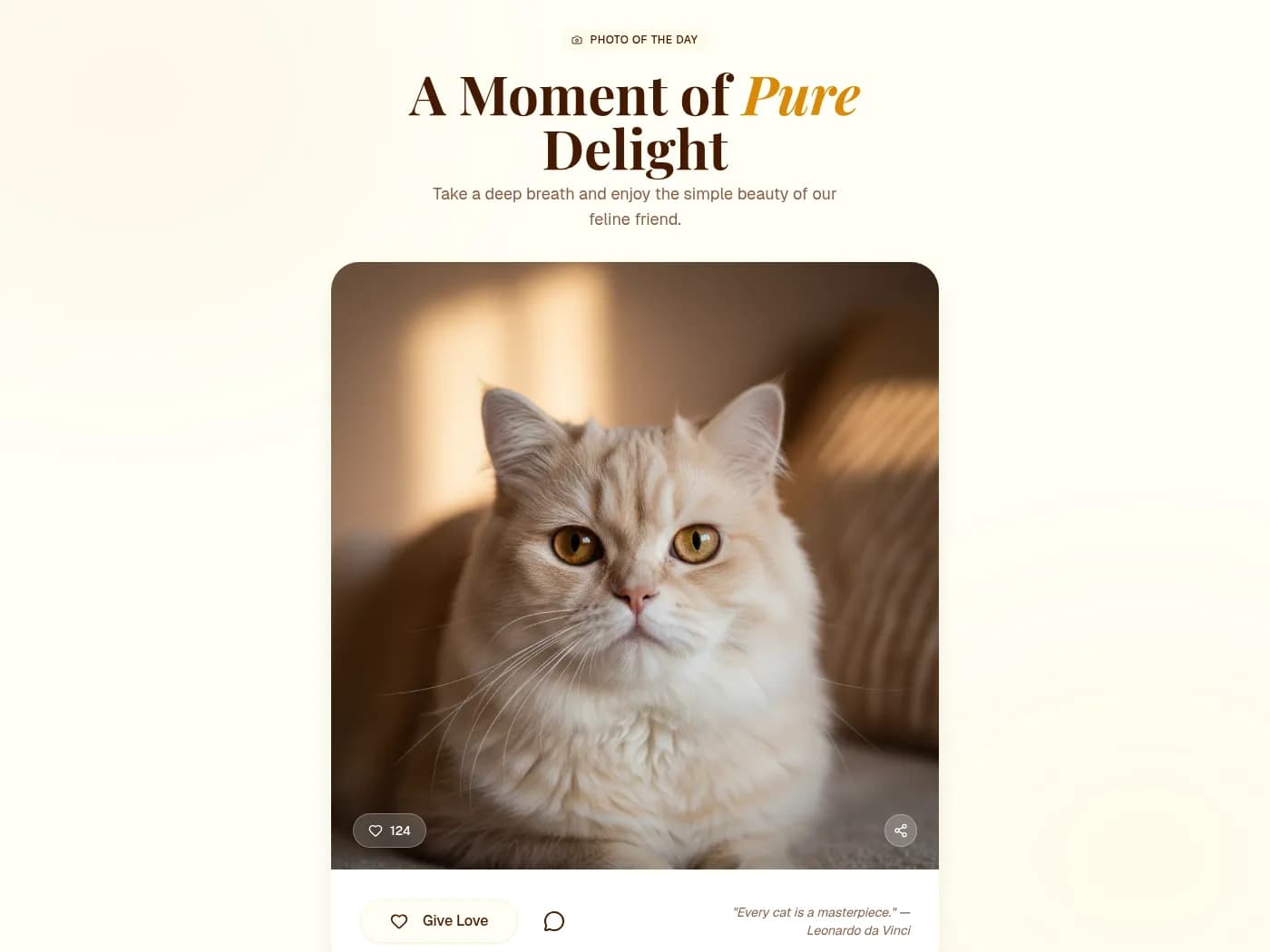 Cat Photo Site