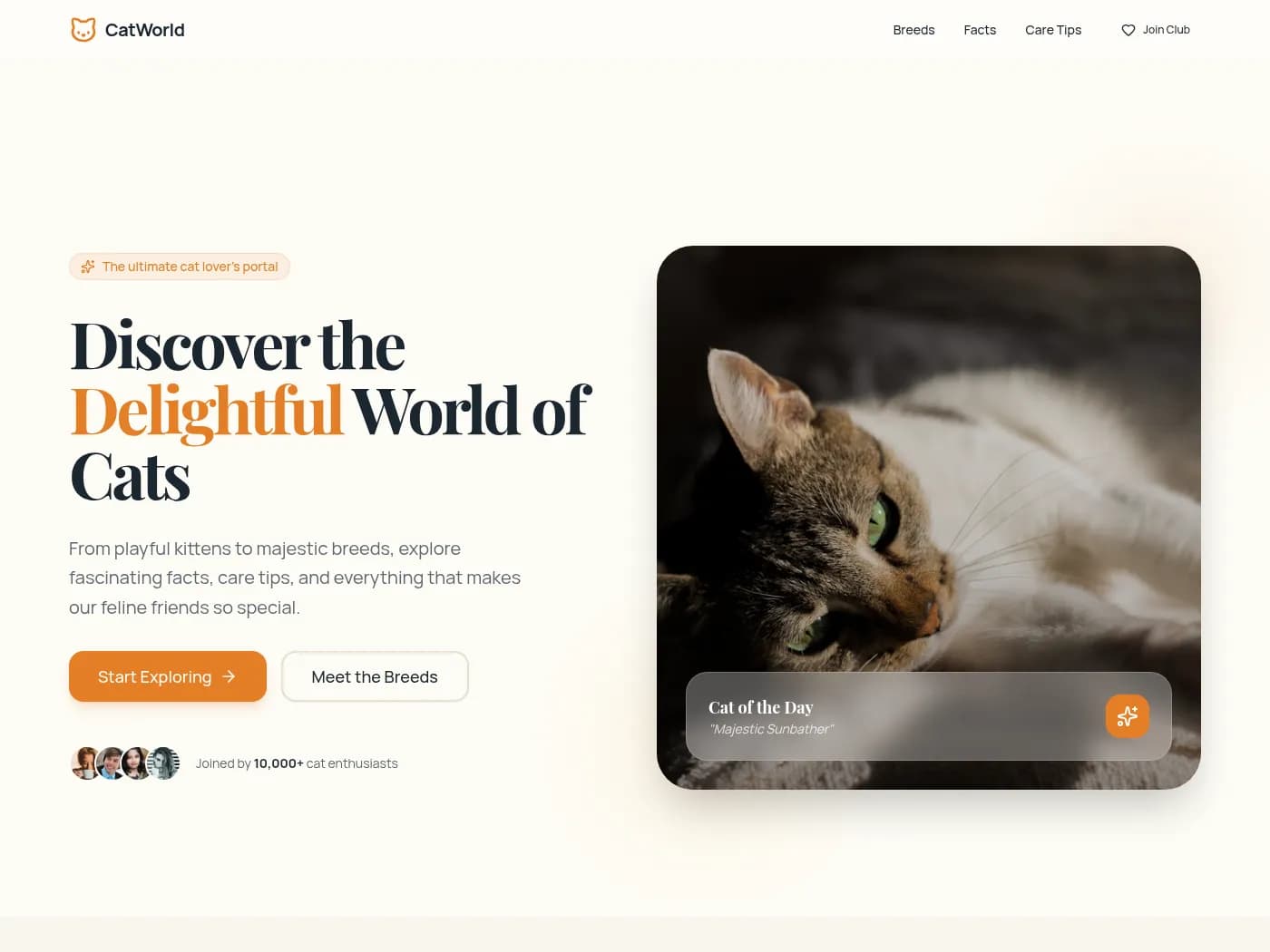 Cat World Portal