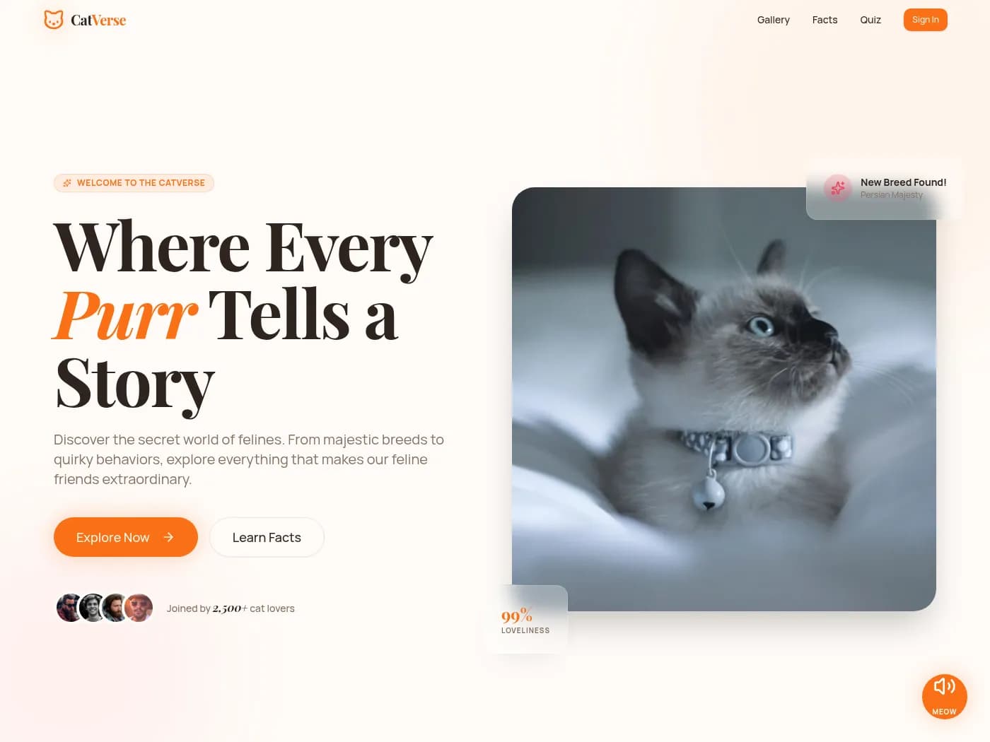 CatVerse Interactive