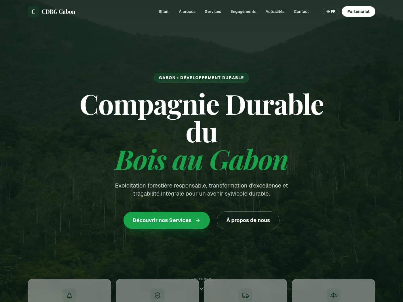 CDBG Gabon NextGen