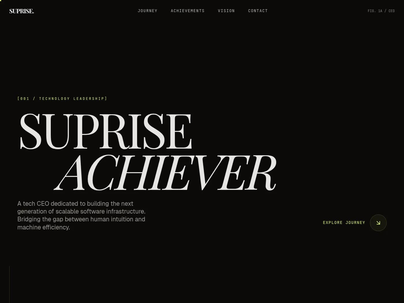 CEO Surprise Website