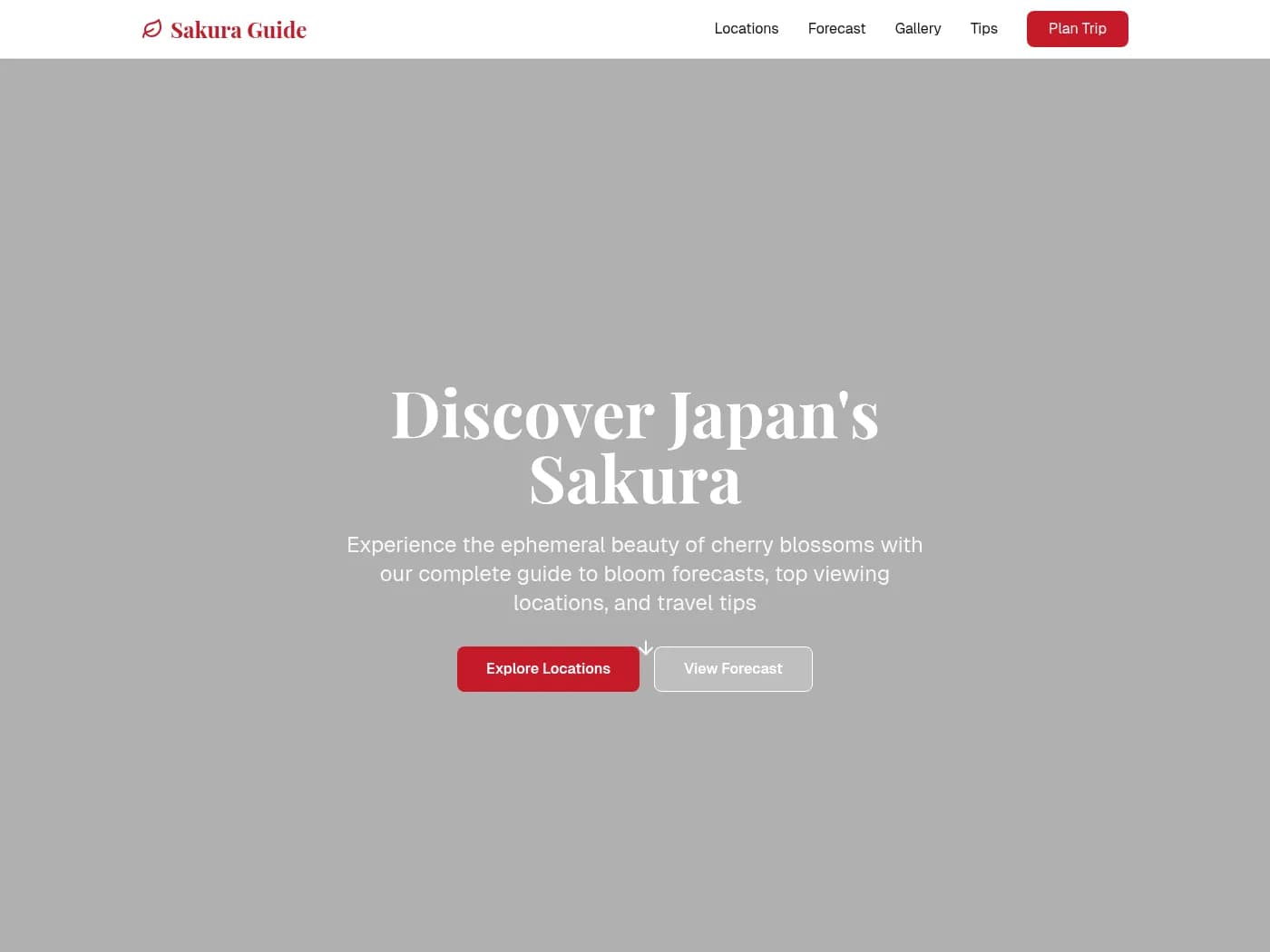 Cherry Blossom Japan Guide